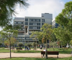 Adecuación Planta Primera destinada a Hospital de Día (Fase 1) del ...